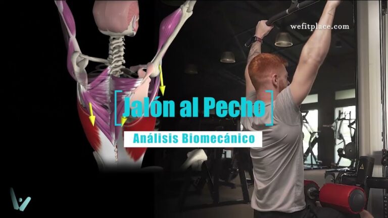 Jalón al Pecho: Musculos Implicados y Cómo Ejecutarlo Correctamente ...