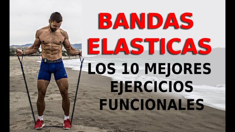 Descarga Gratis: Tabla de Ejercicios con Gomas Elásticas Cerradas en ...