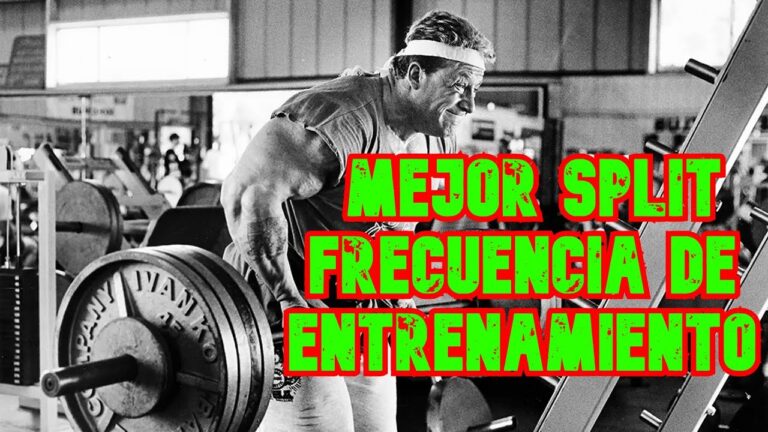 ¿Cuál es el Mejor Split Gym? Guía Completa para Elegir el Ideal para Ti ...