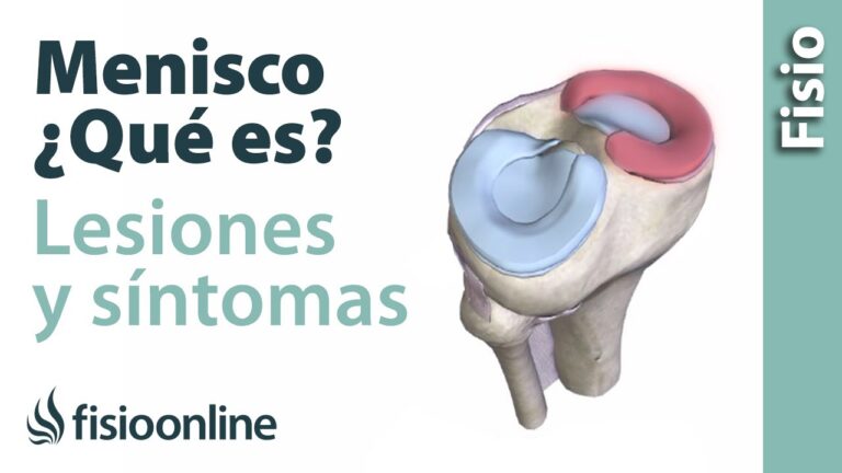 ¿Cuántos meniscos hay en el cuerpo humano? Descubre su función y salud ...